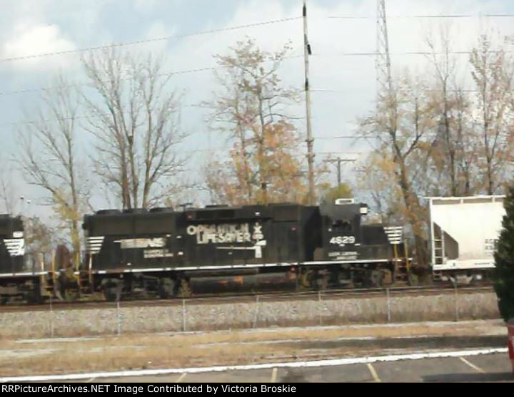 NS #4629